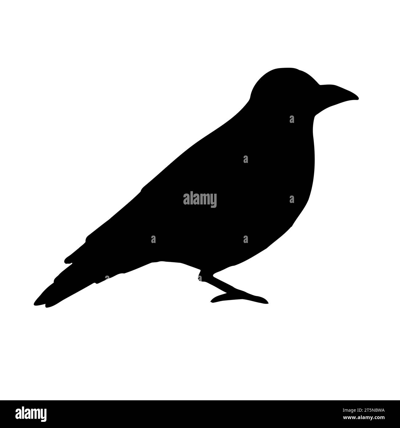 Vector hand drawn crow silhouette Stock Vector Image & Art - Alamy Vector hand drawn crow silhouette Stock Vector Image & Art - Alamy