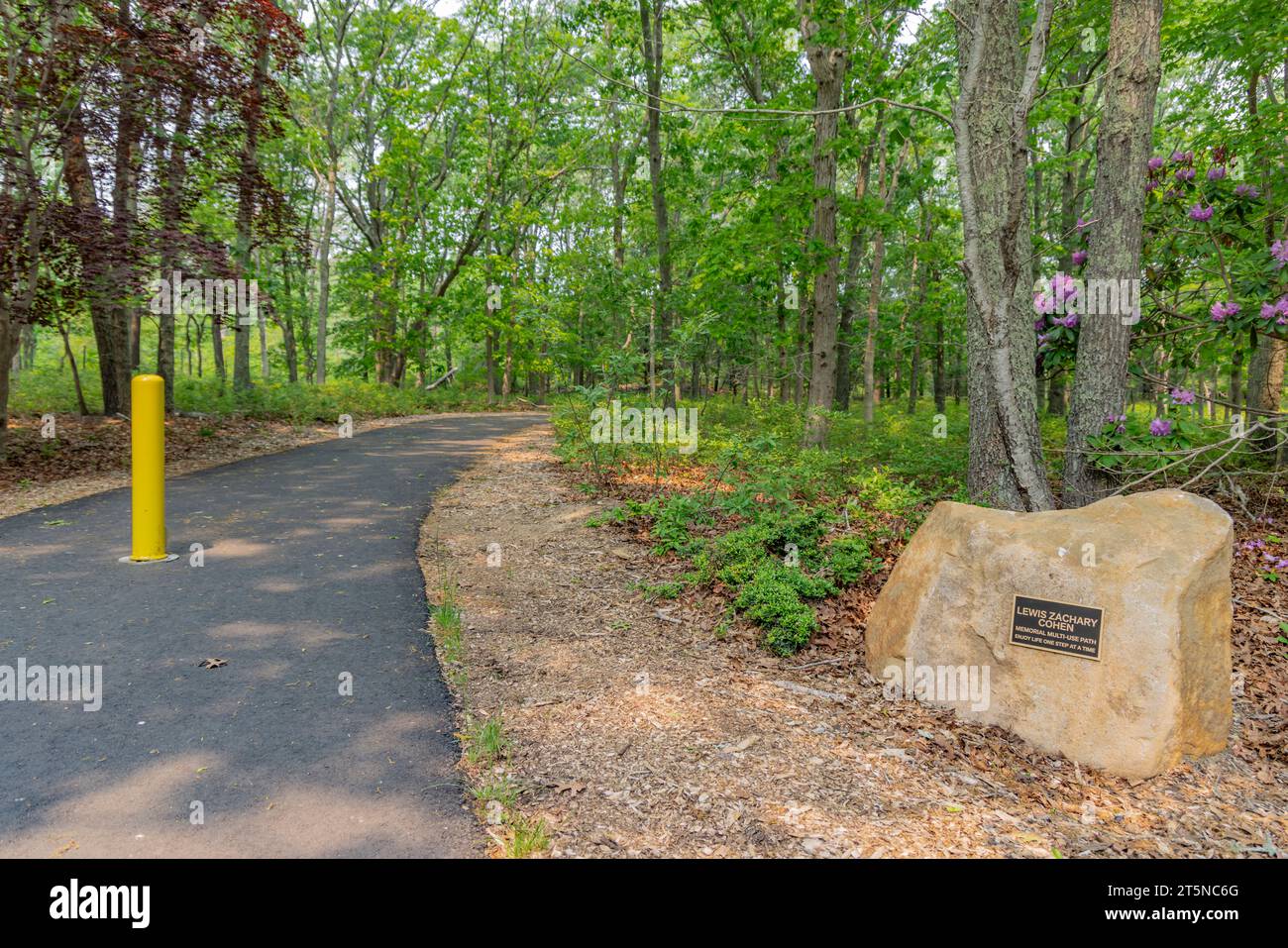 Lewis zachary cohen hi-res stock photography and images - Alamy