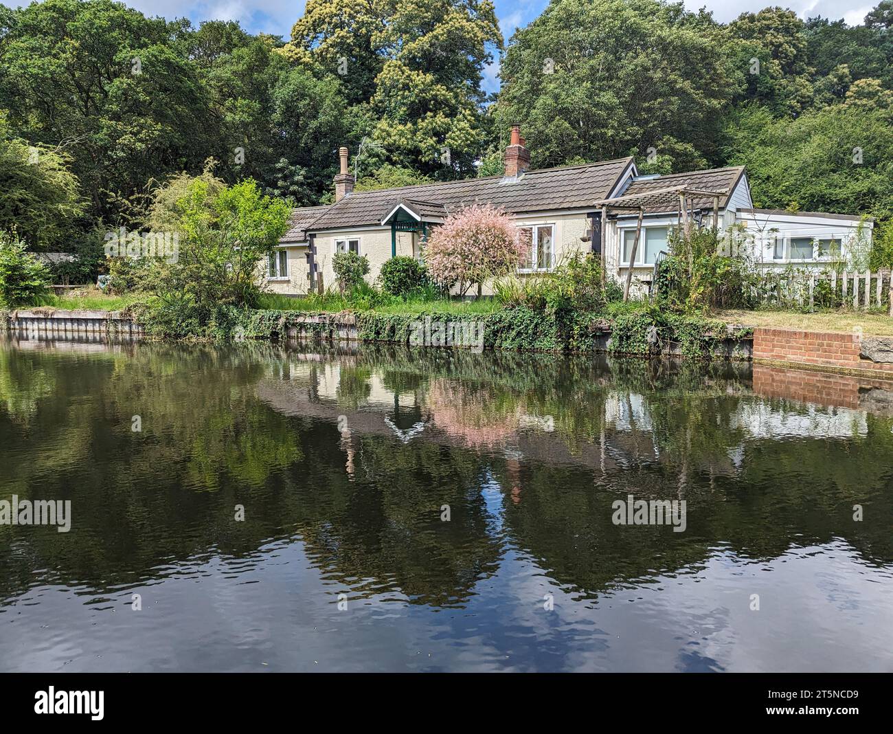 Views along the beautiful Basingstoke Canal near Deepcut in Surrey ...