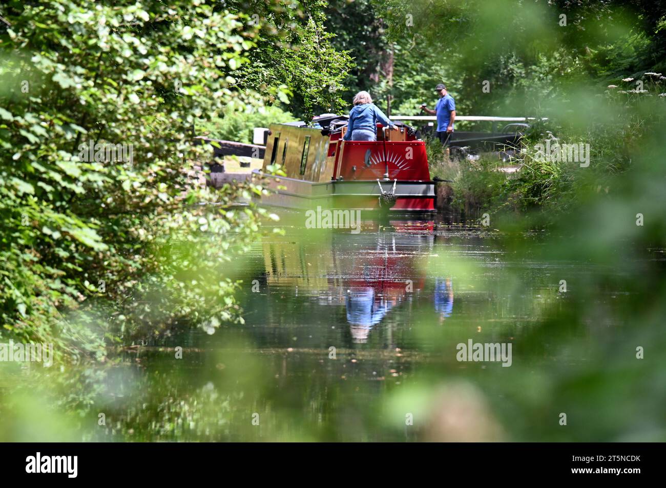 Views along the beautiful Basingstoke Canal near Deepcut in Surrey ...
