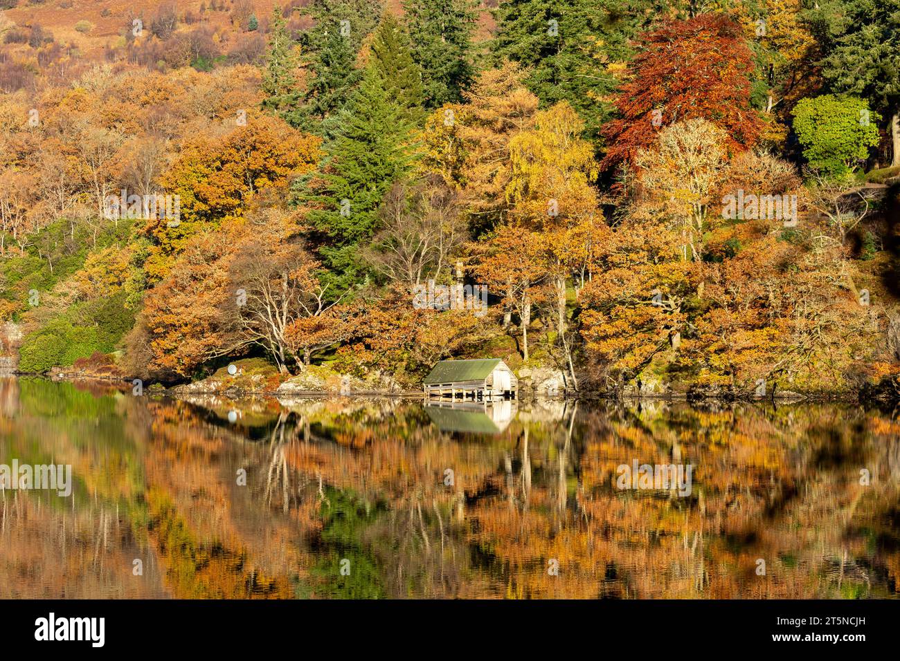 Loch Ard is a loch, located in Loch Lomond and the Trossachs National ...