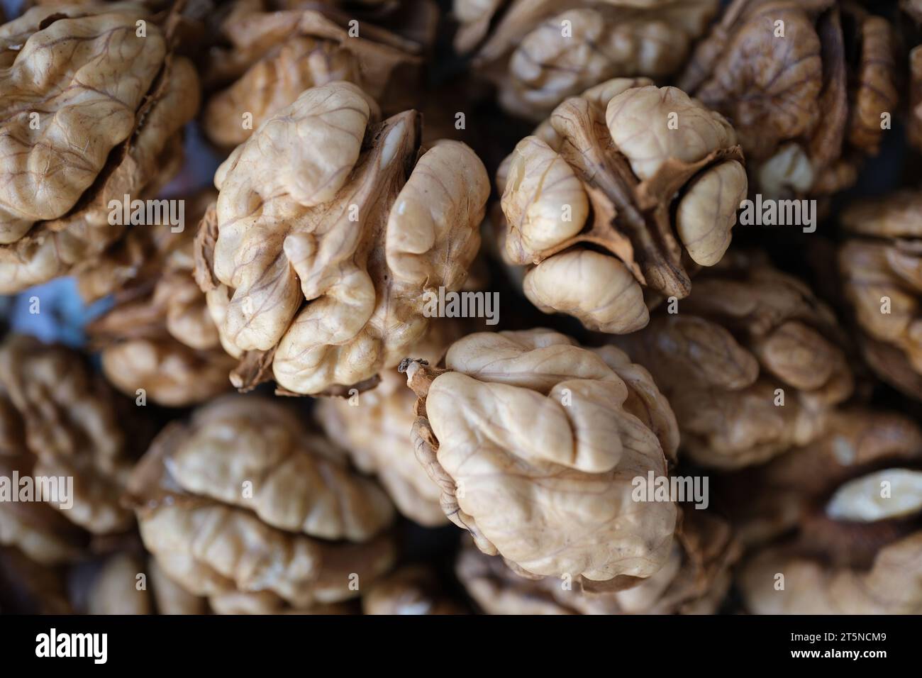 Picked from the tree hi-res stock photography and images - Alamy