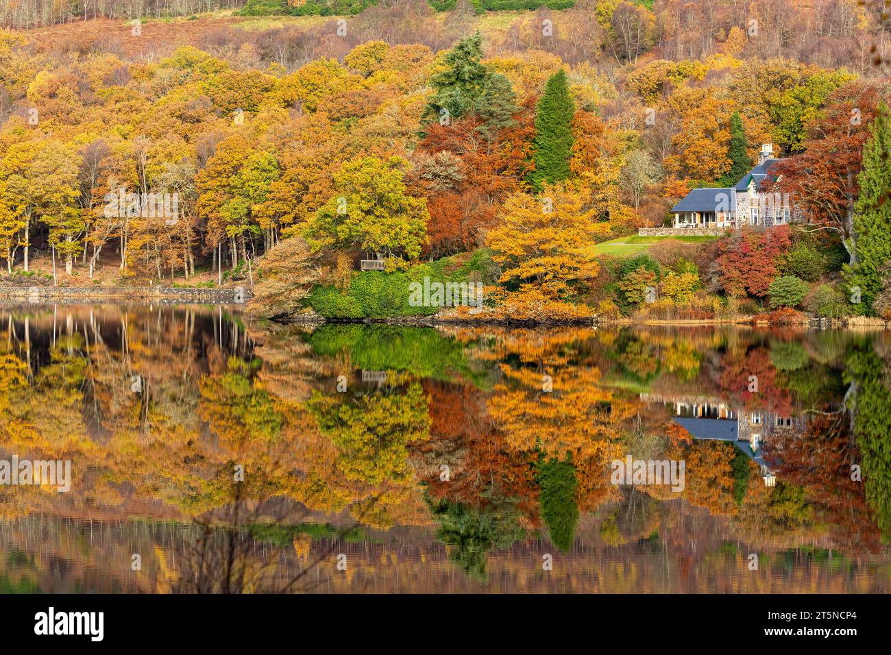 Loch Ard is a loch, located in Loch Lomond and the Trossachs National ...