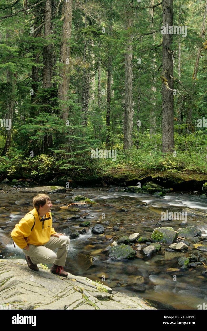 Paradise River along Wonderland Trail, Mt Rainier National Park ...