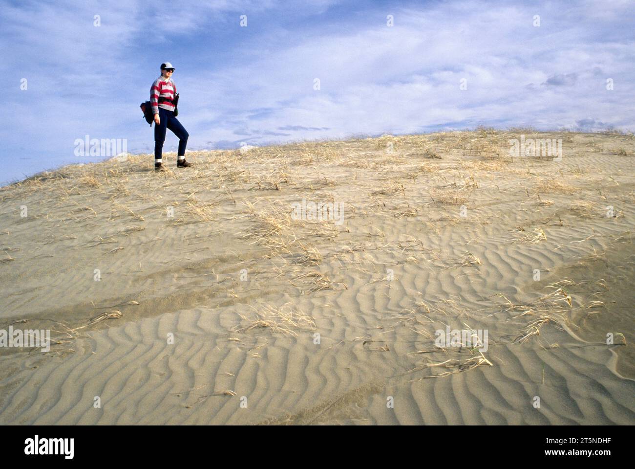 Dune wilderness hi-res stock photography and images - Alamy