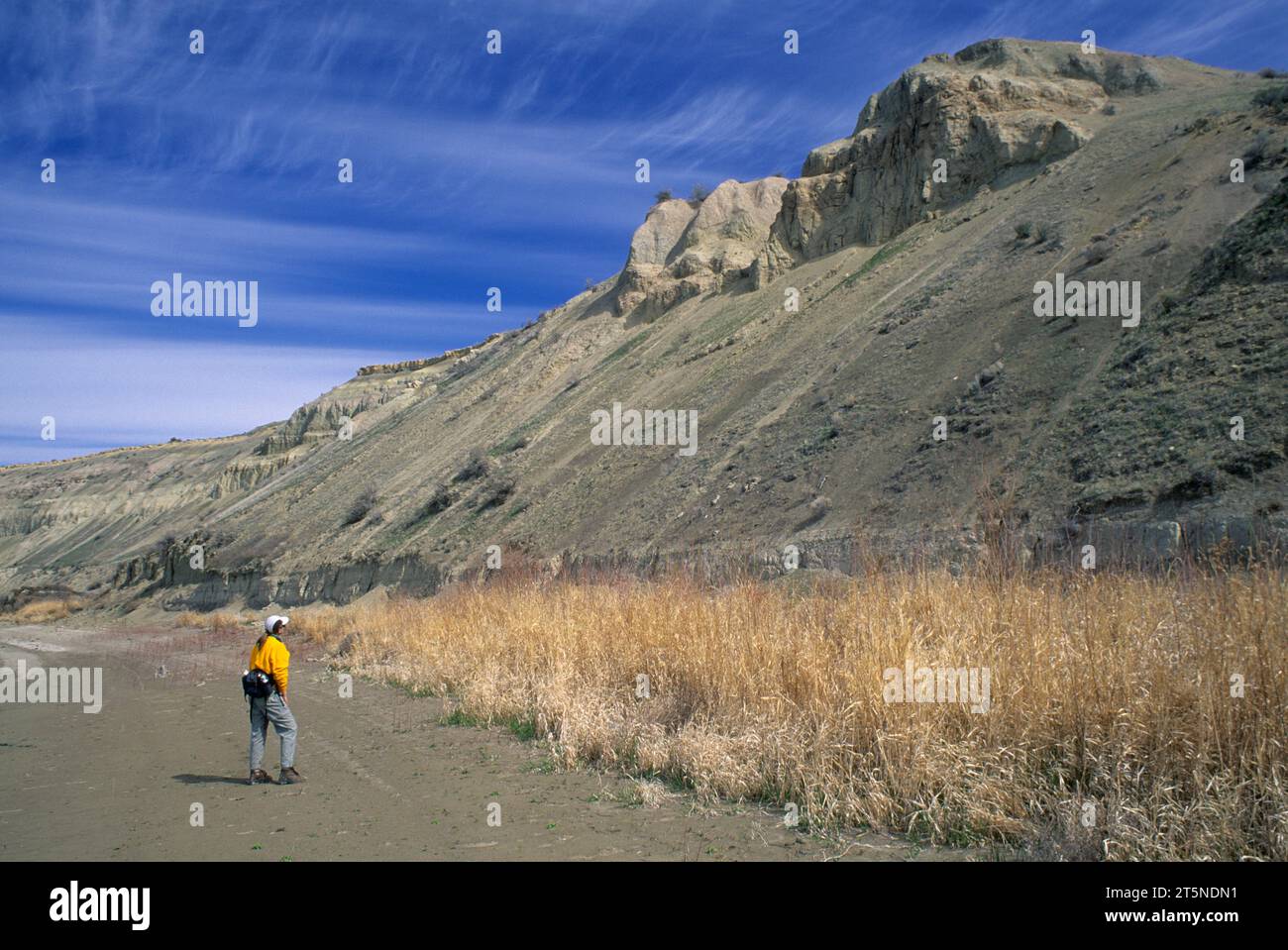 White bluffs washington hi-res stock photography and images - Alamy