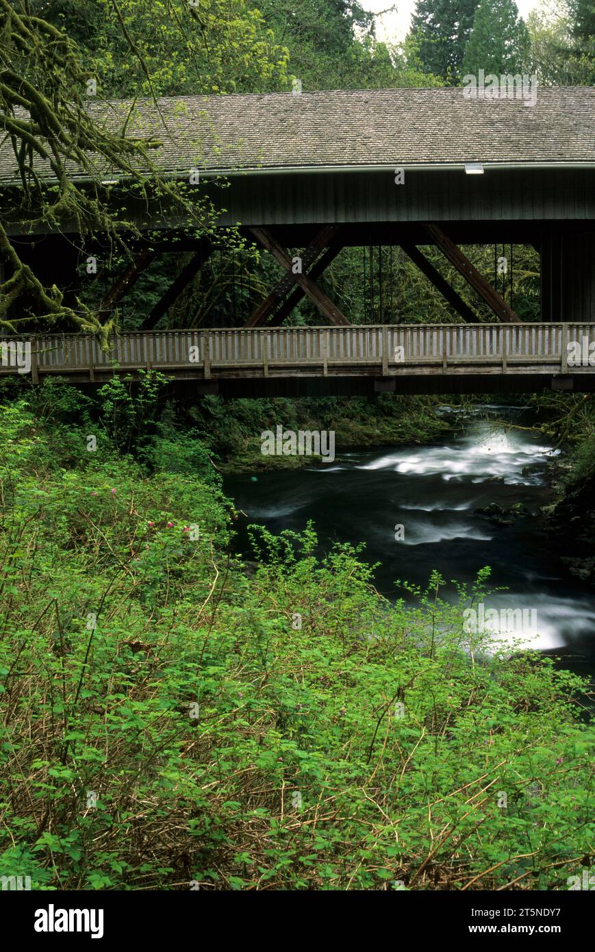 Cedar Creek Covered Bridge, Woodland, Washington Stock Photo - Alamy