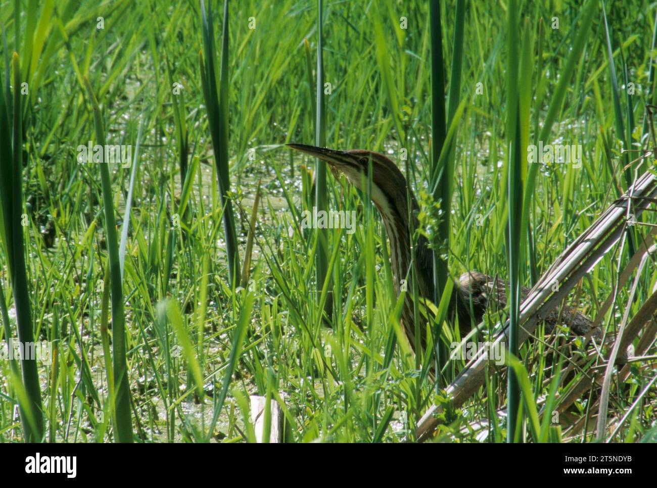 Ring dike trail hi-res stock photography and images - Alamy