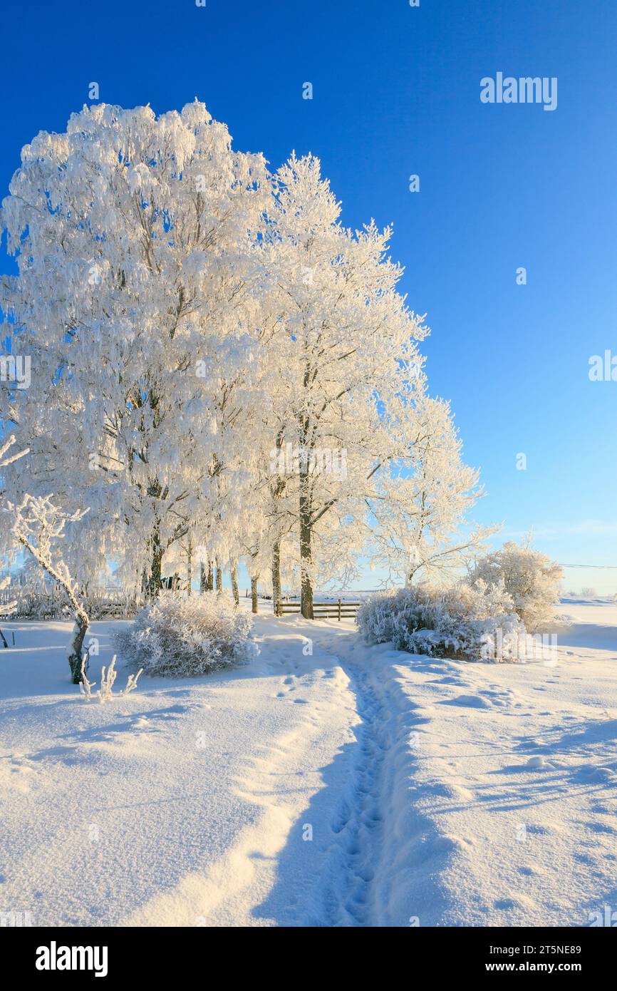 Garden path in winter landscape Stock Photo - Alamy