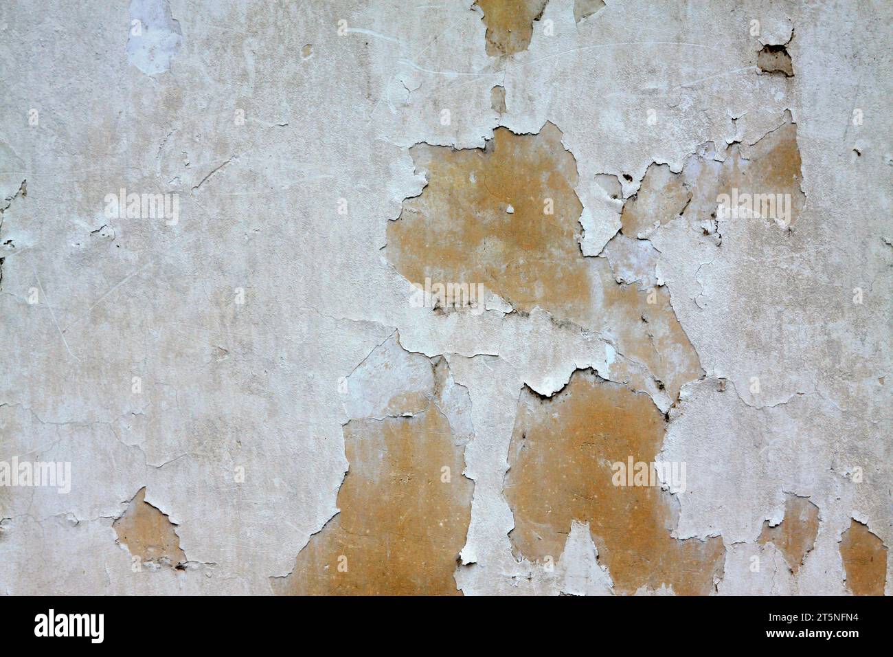 Mottled walls hi-res stock photography and images - Alamy
