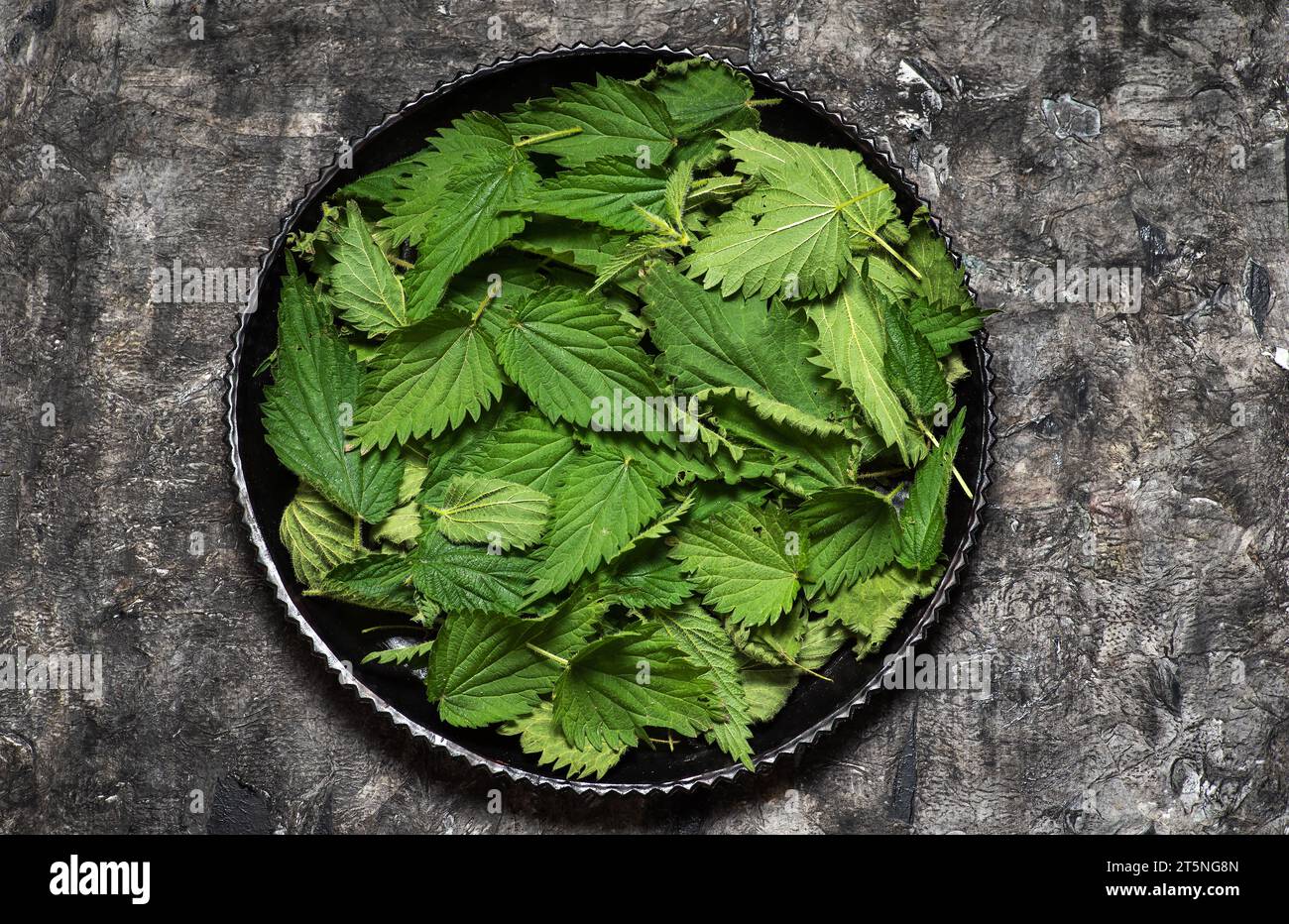 Dried thyme nettle hi-res stock photography and images - Alamy