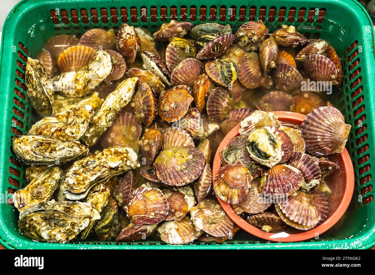 There are tons of scallop and oyster shells piled up in the fish market ...