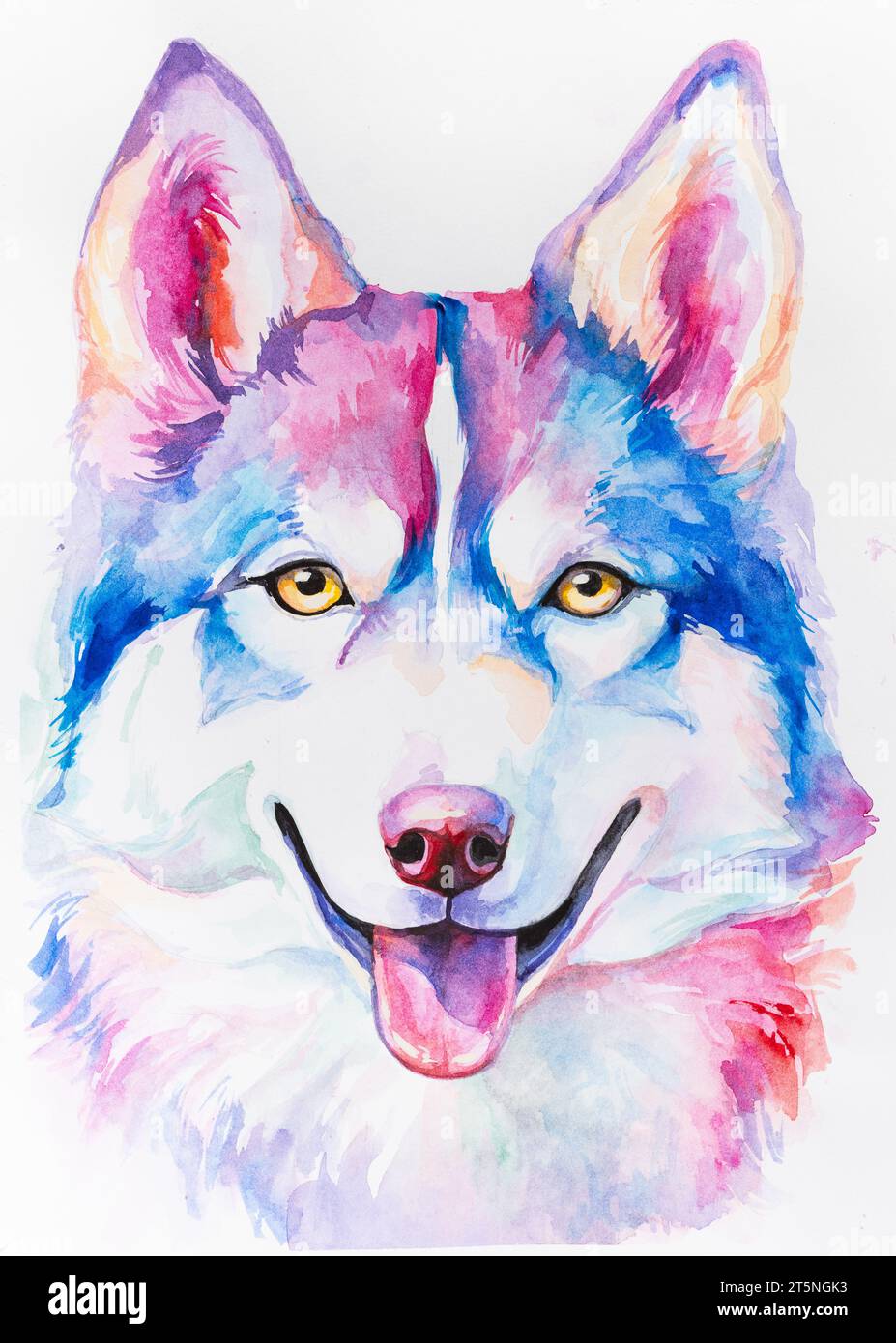 dog painted in watercolor on a white background Stock Photo - Alamy
