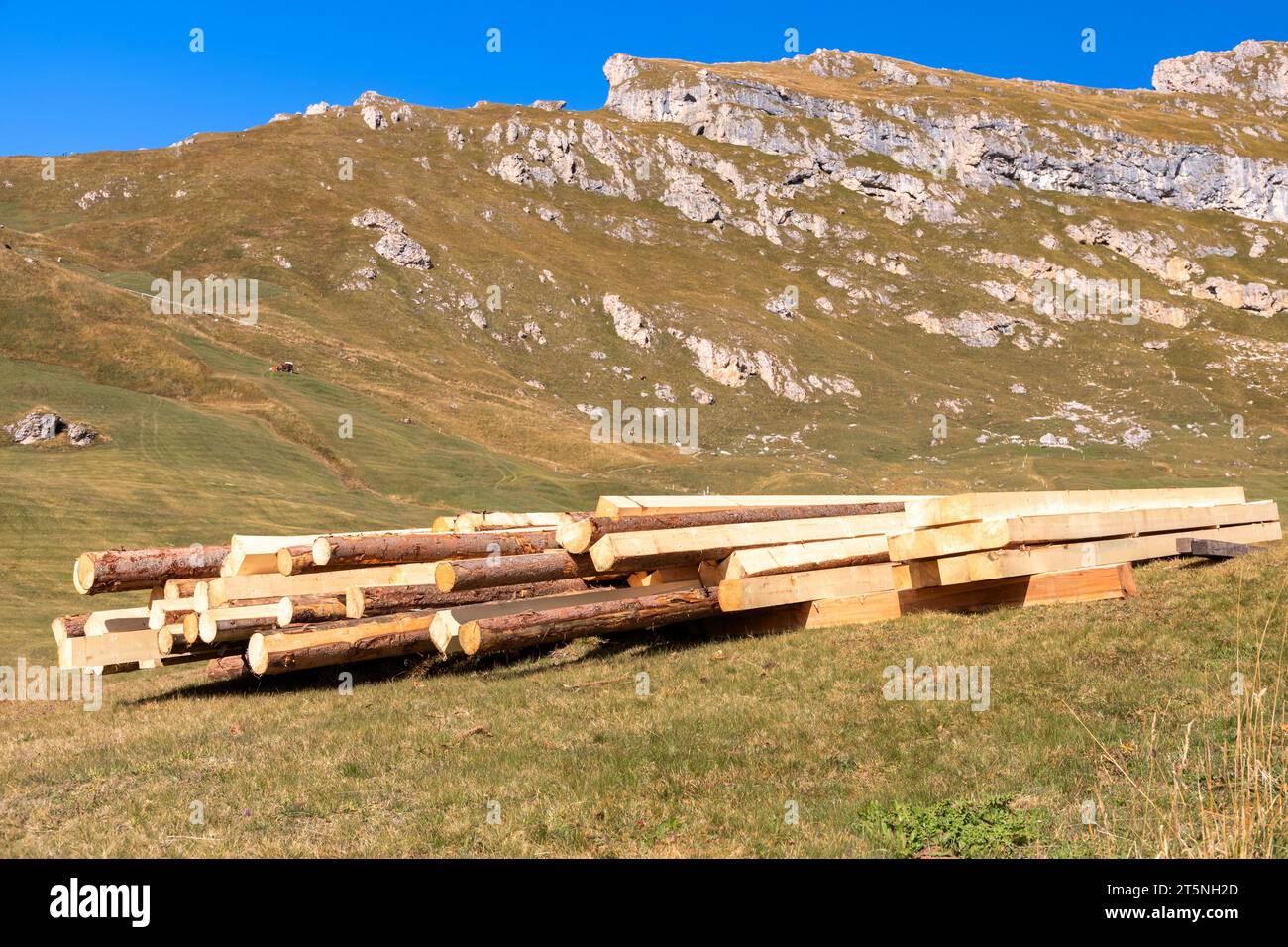 Sawn timber beam hi-res stock photography and images - Alamy