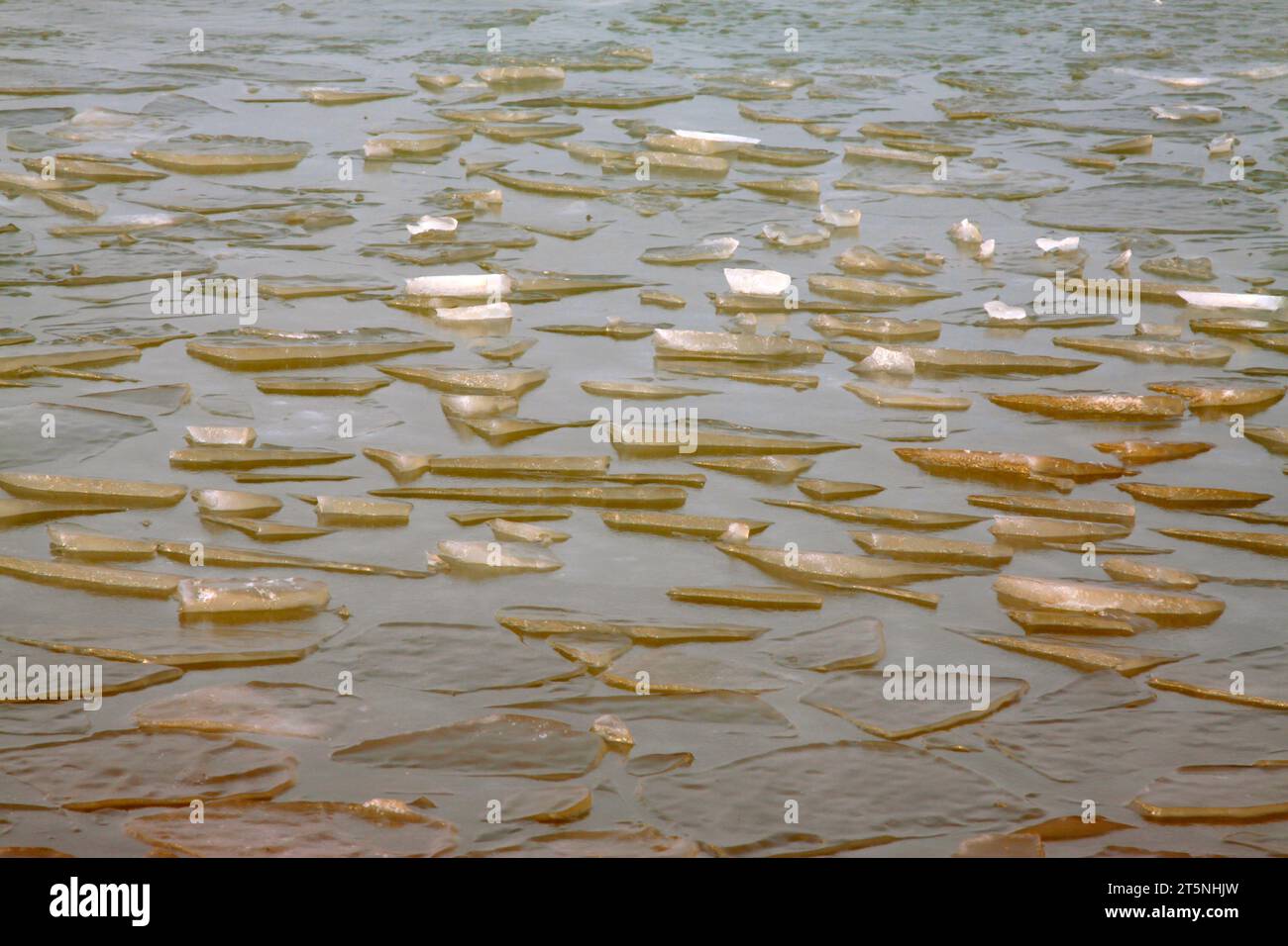 Ice floating on the water in wild Stock Photo - Alamy