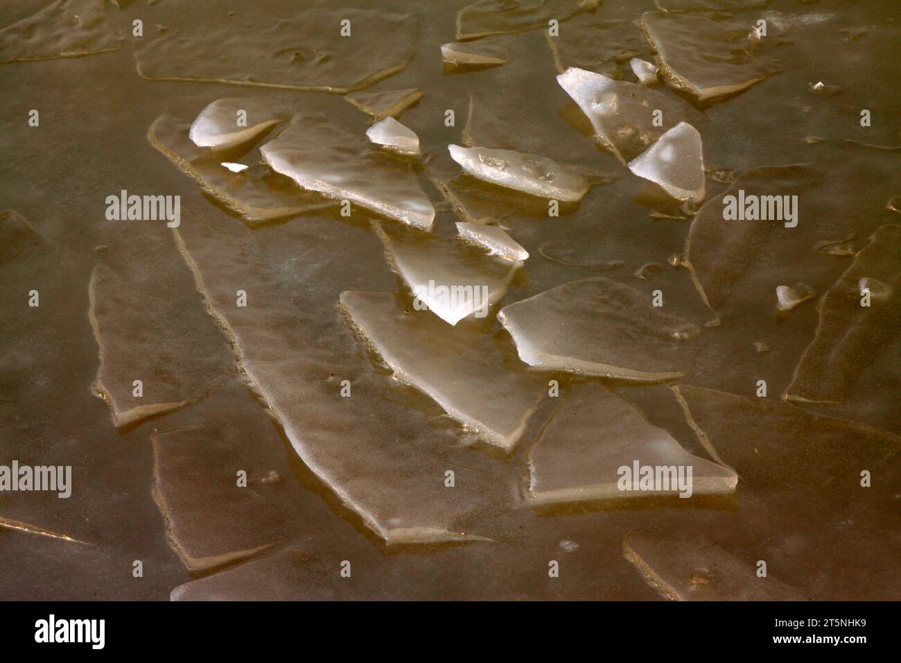 Ice floating on the water in wild Stock Photo - Alamy