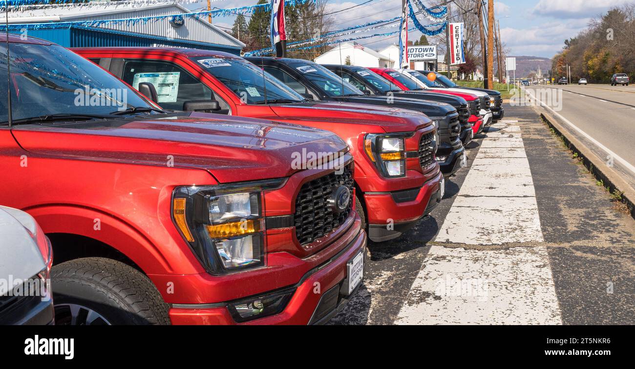 New Ford pickup trucks lined up for sale at a dealership in Warren ...