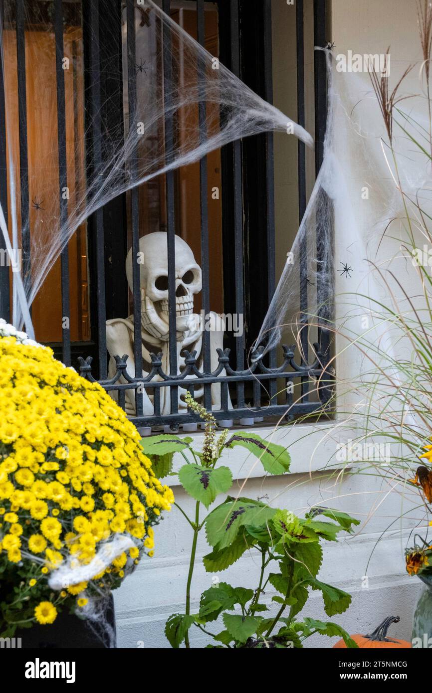 Skeleton looking out window hi-res stock photography and images - Alamy
