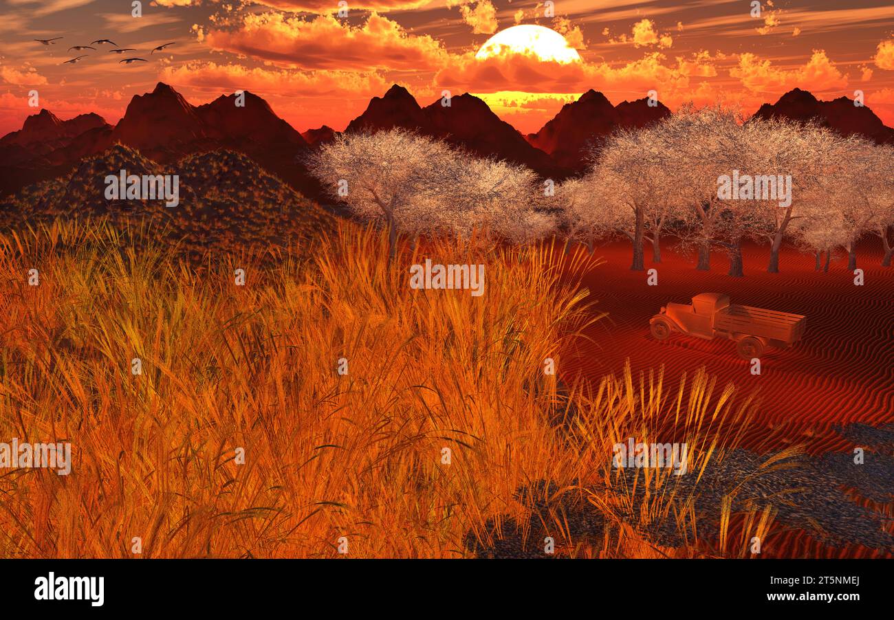 Atmospheric habitat environment hi-res stock photography and images - Alamy