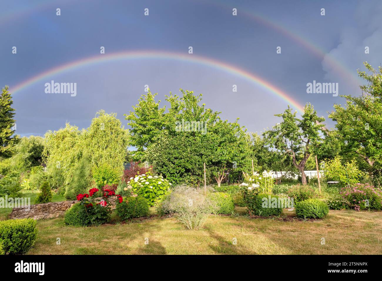 Colorful rainbow in a stormy sky over sunny garden with flowers and ...