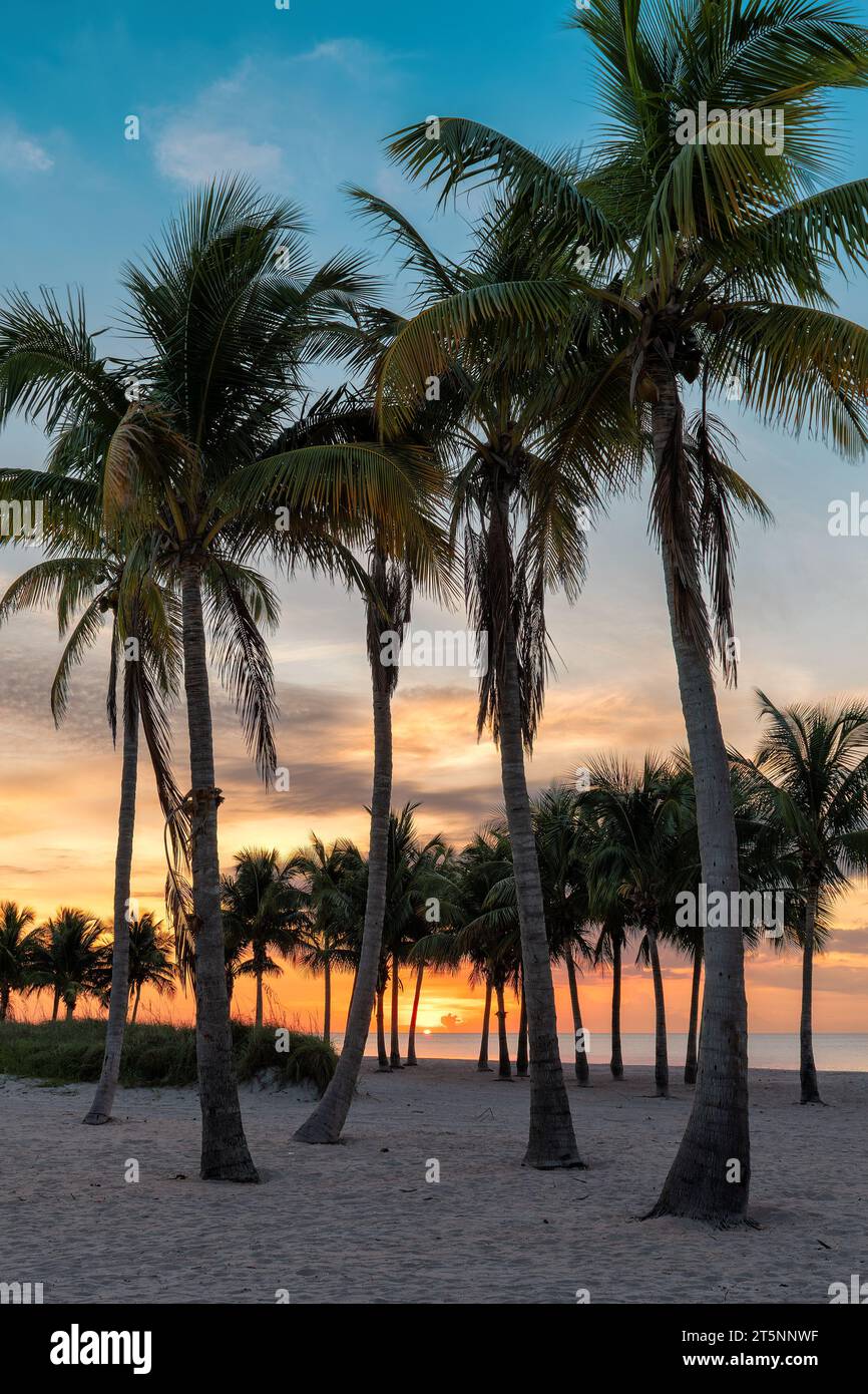 Miami beach summer vacation vertical hi-res stock photography and ...