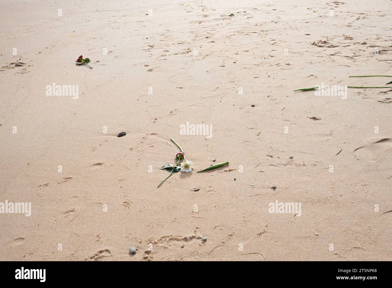 Beach sand with remains of dirt. Environment in danger Stock Photo - Alamy