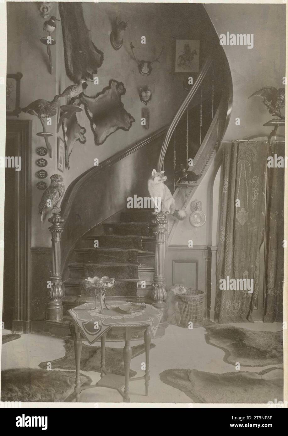 Vintage Home interior, 1900, 1900s, European, Dutch, photograph ...