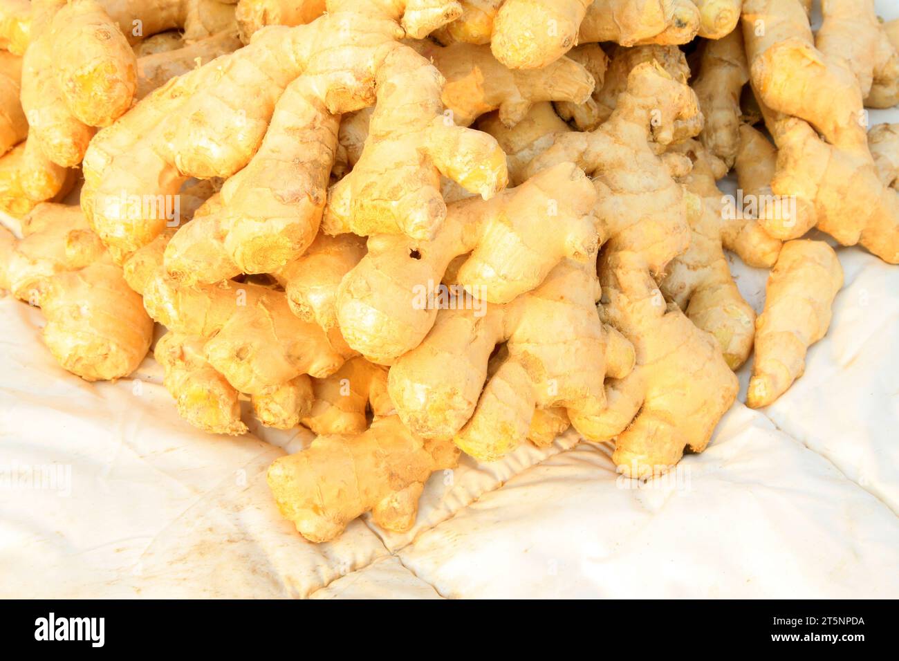 fresh ginger, closeup of photo Stock Photo - Alamy