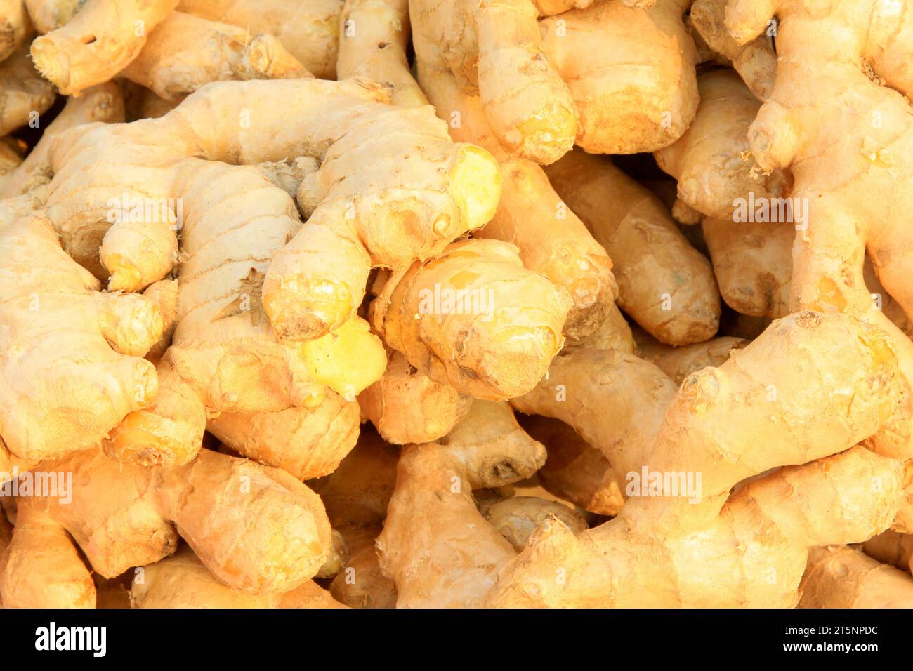 Ginger piled up hi-res stock photography and images - Alamy