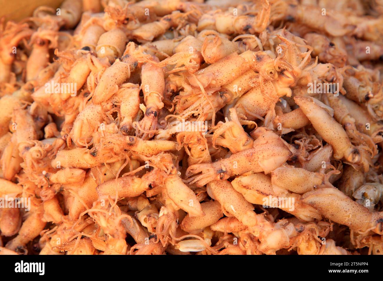 Cooked squid hi-res stock photography and images - Alamy