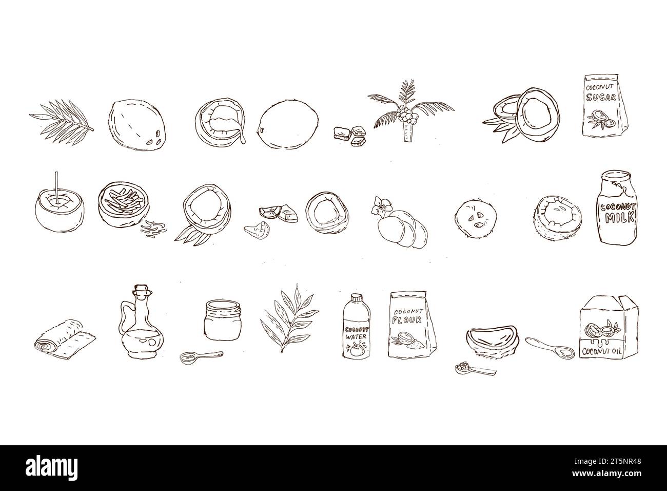 coconut and products from coconut - outline set Stock Vector Image ...