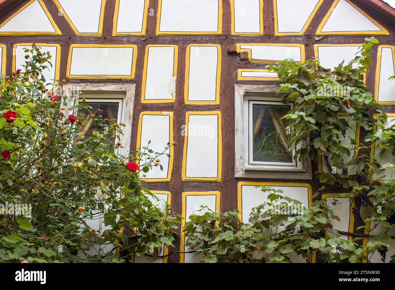 Treis karden germany hi-res stock photography and images - Alamy