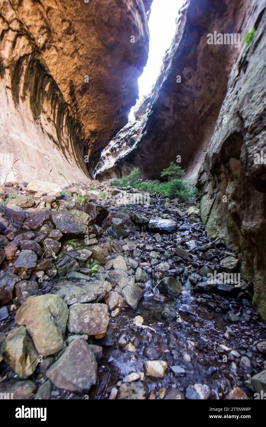 A small stream surrounded by the high concave sandstone walls of the ...
