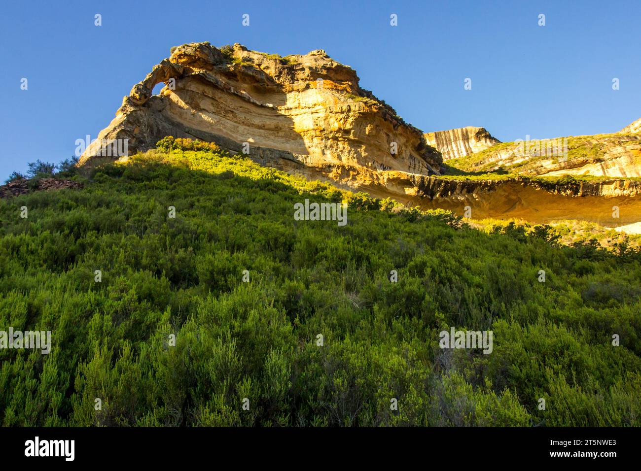 Imposing golden Sandstone cliff with a small arch, rising above the ...