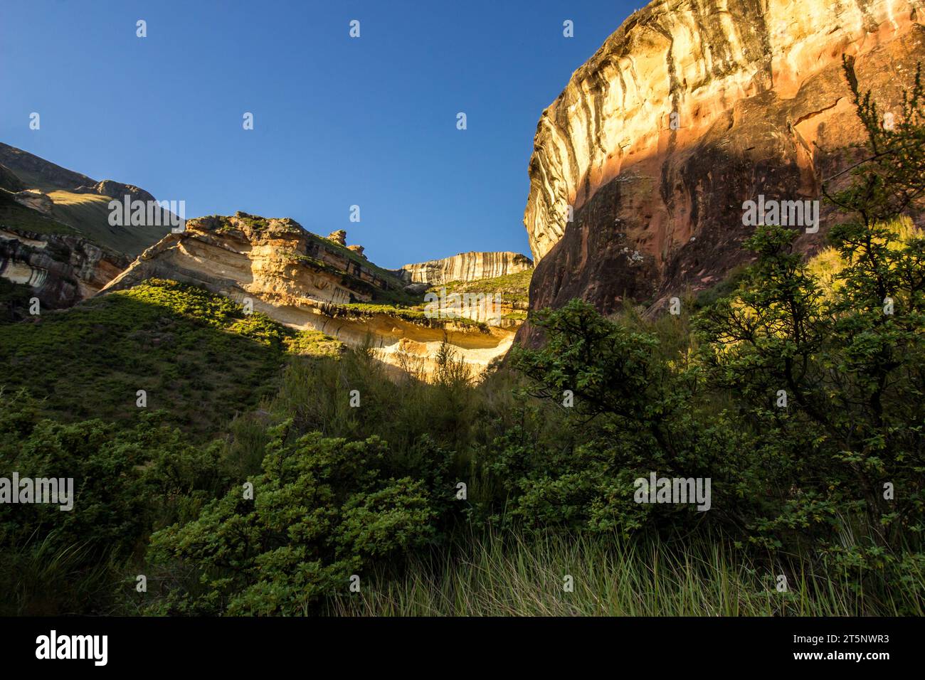 The sandstone cliffs of Golden Gate Highlands National Park in the Free ...