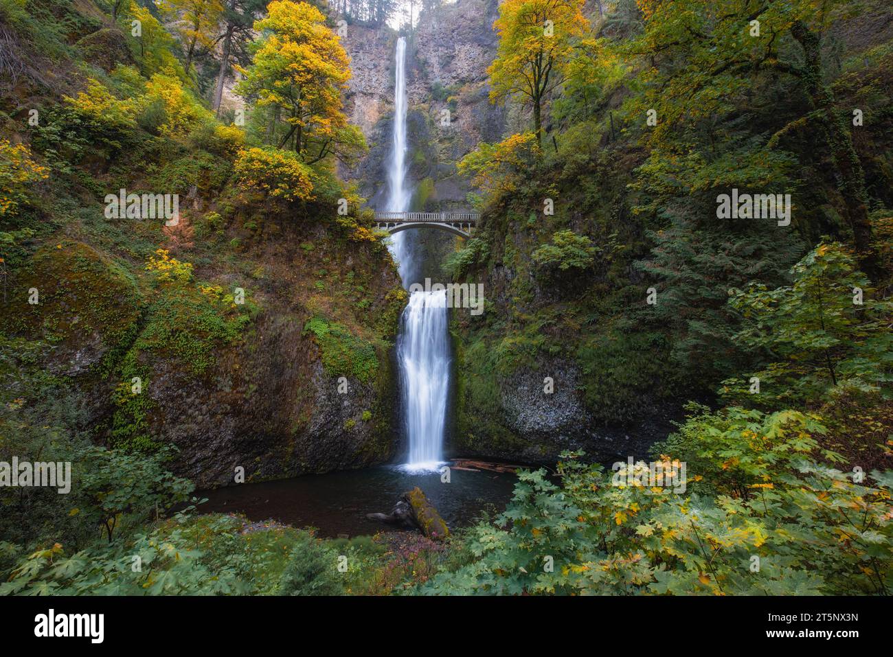 Oregon waterfall hi-res stock photography and images - Alamy