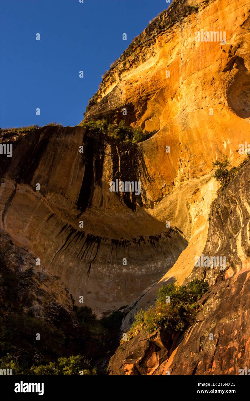 The steep impassable golden and ochre colored sandstone cliffs in the ...