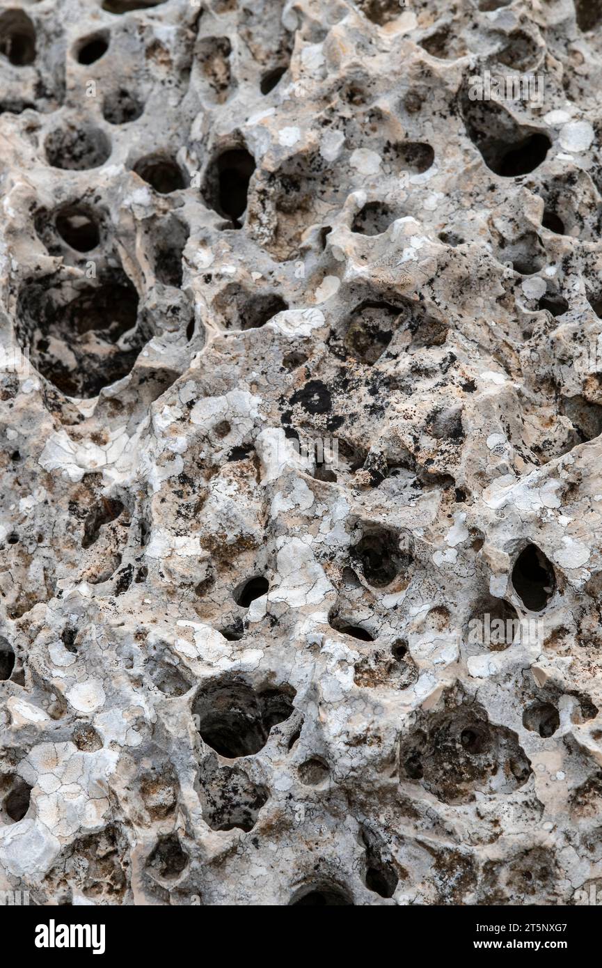 Porous rocks hi-res stock photography and images - Alamy