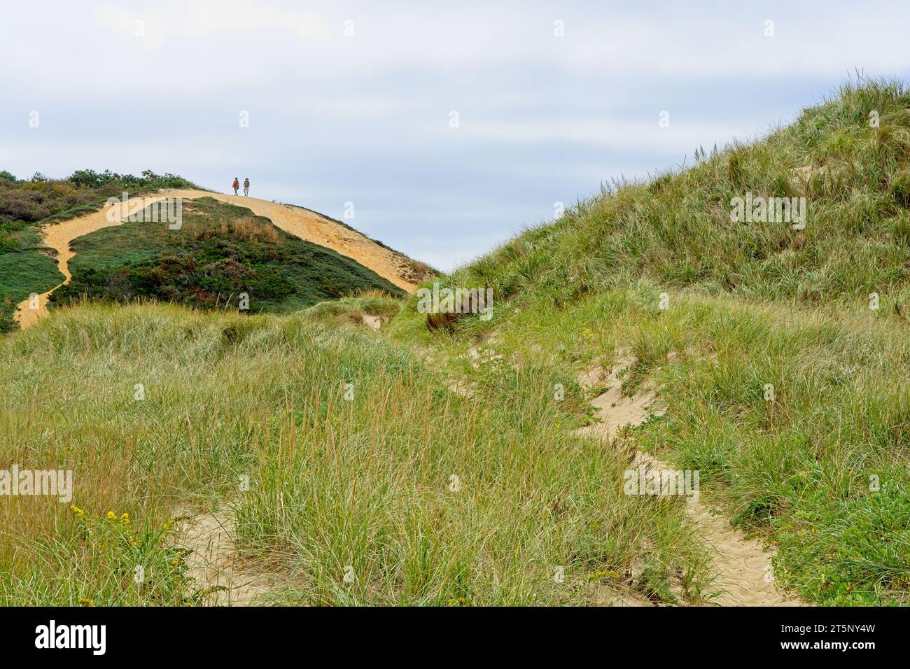 Two hikers climb over sand dunes on Great Island in Wellfleet Stock ...