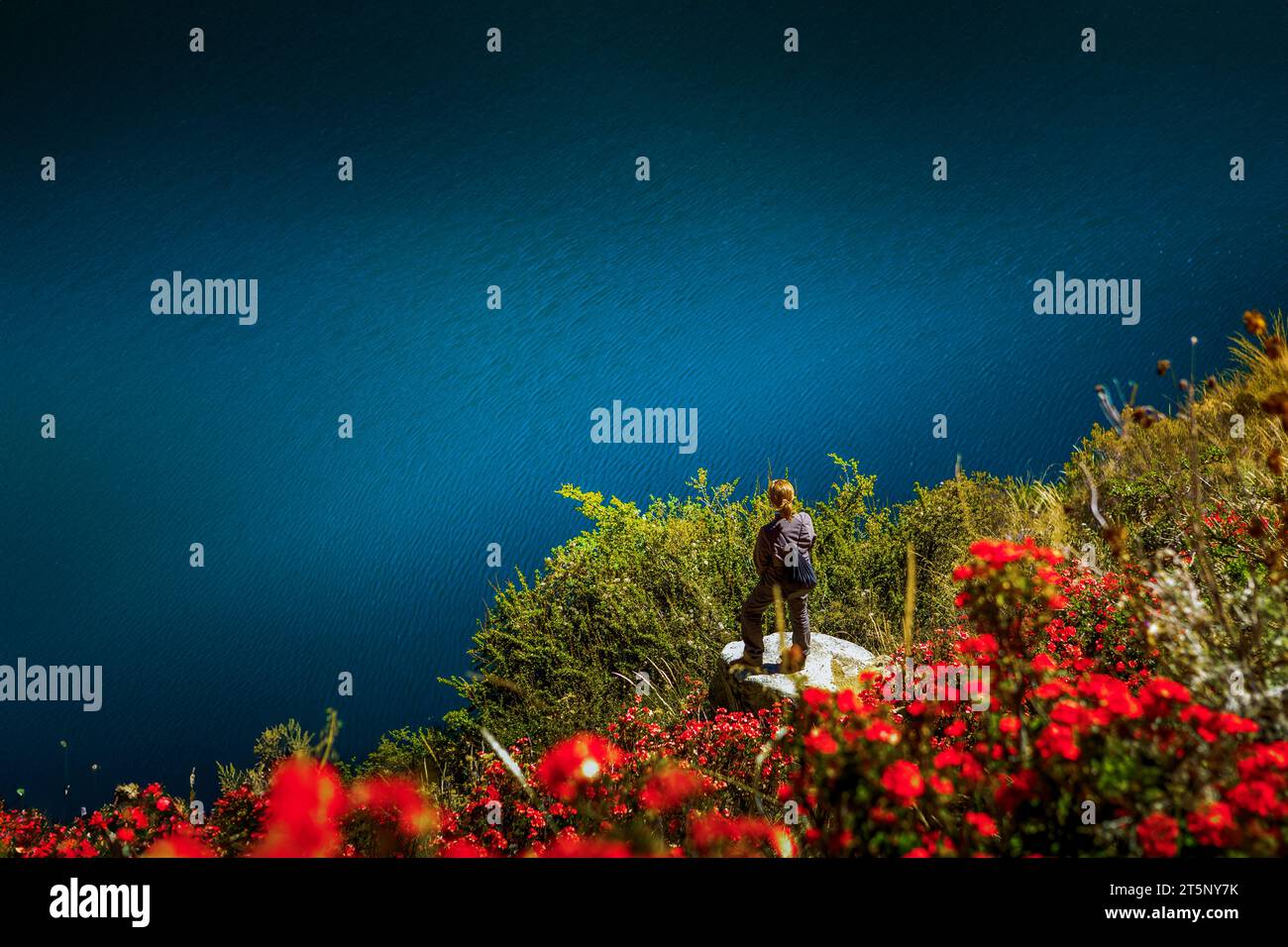 contemplating the beauty of nature Stock Photo - Alamy