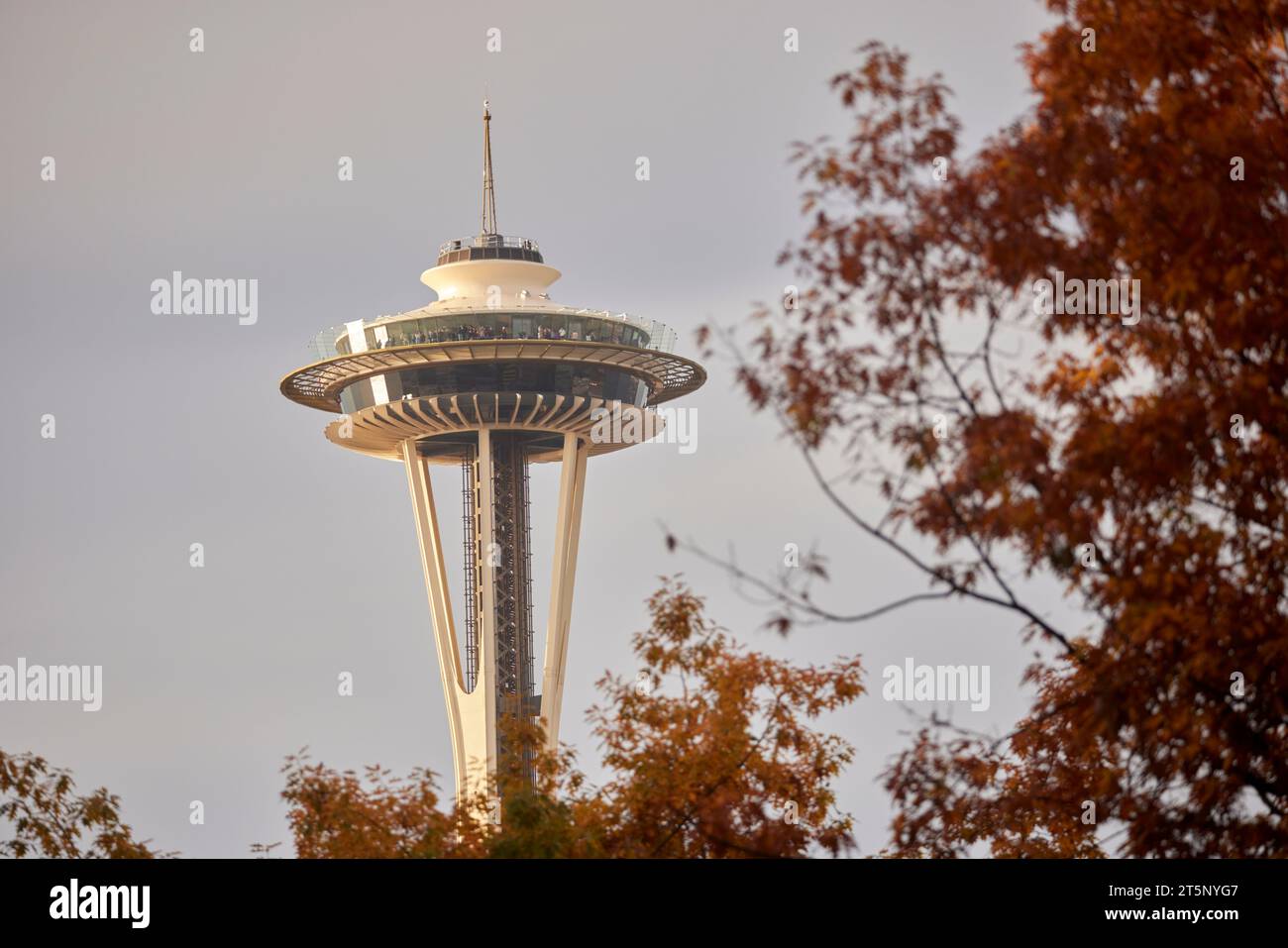 Landmark and iconic Space Needle an observation tower in Seattle ...