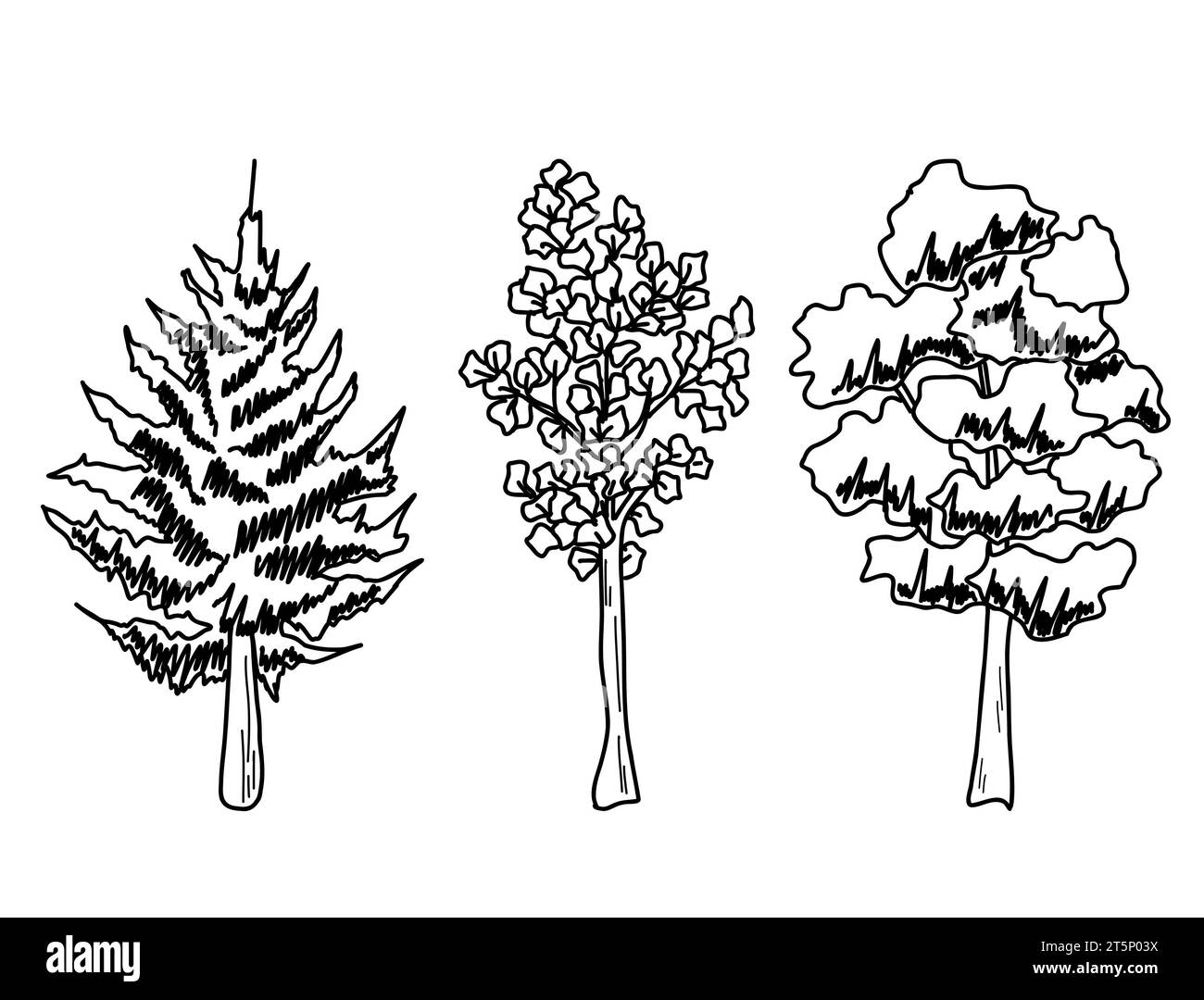 forest Tree line. set of graphics trees elements outline symbol for ...