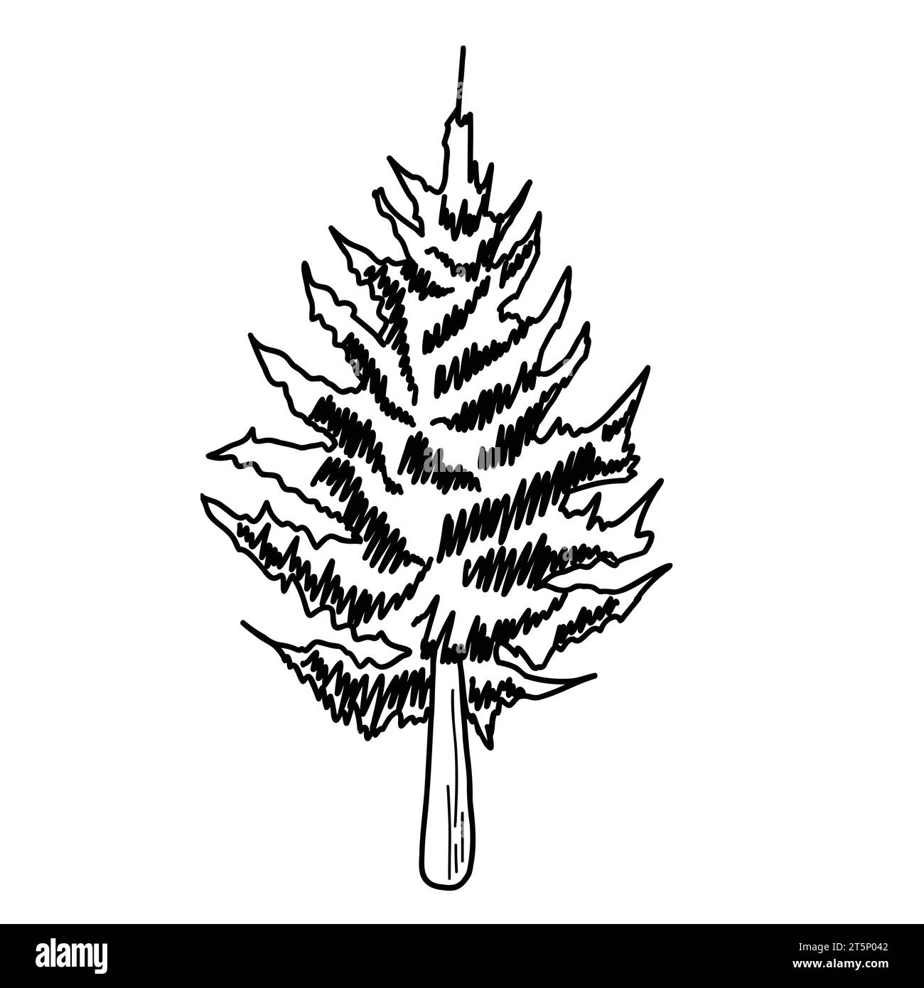 forest Tree line. set of graphics trees elements outline symbol for ...