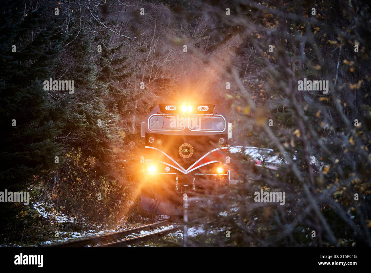 Skagway a compact city in southeast Alaska, White Pass & Yukon Route ...
