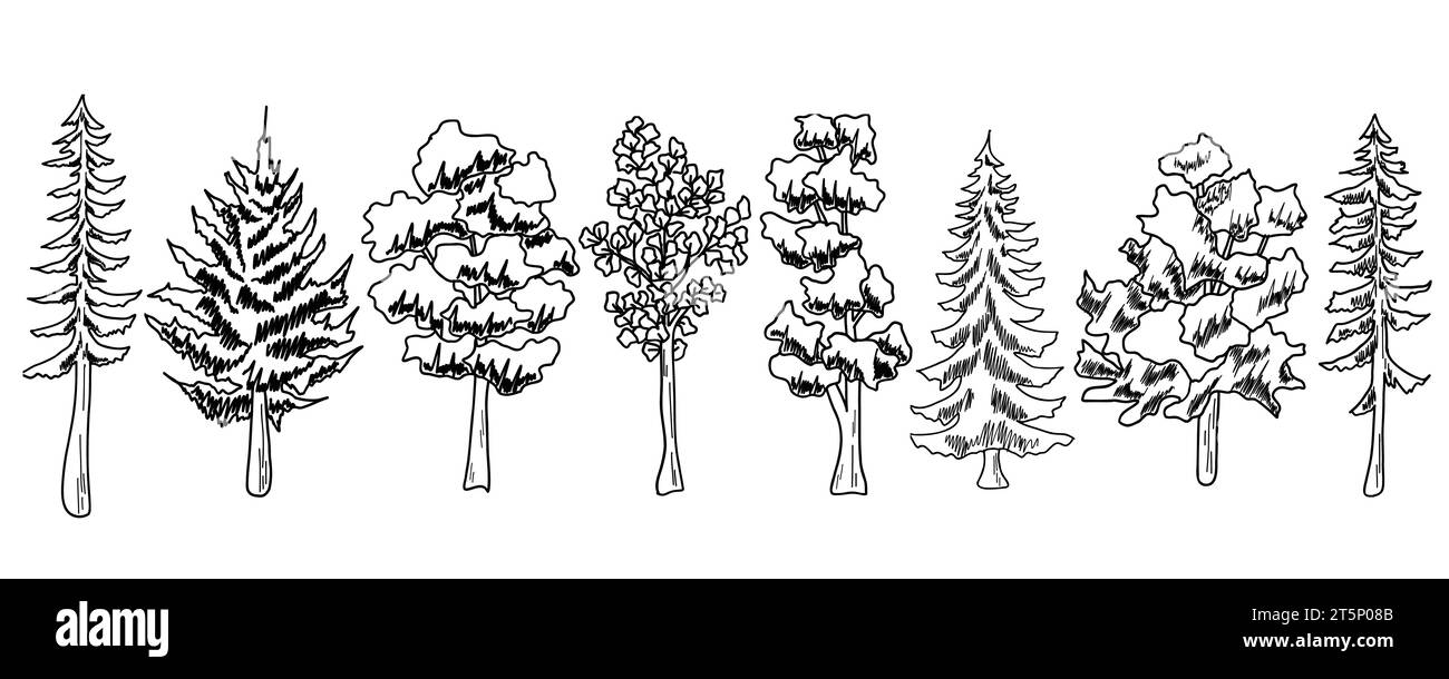 forest Tree line. set of graphics trees elements outline symbol for ...