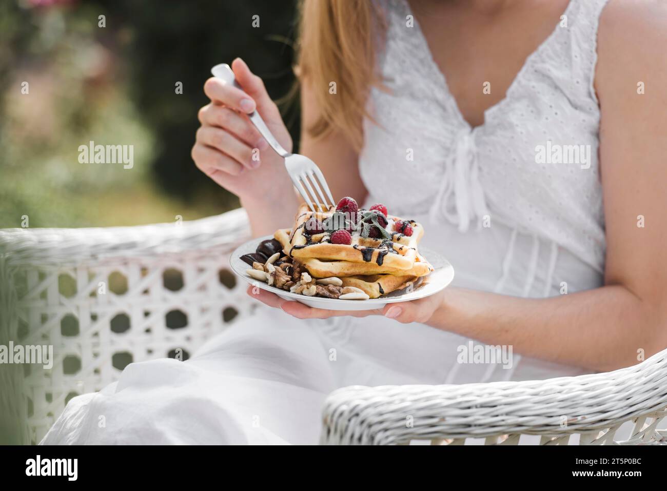 Waffle breakfast plate hi-res stock photography and images - Alamy