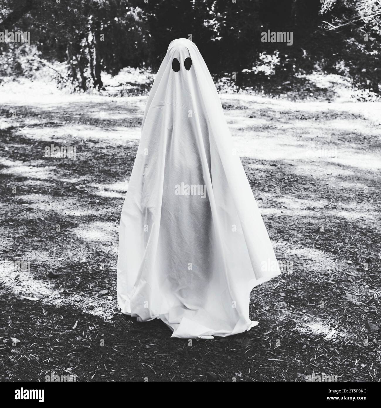Human ghost costume forest Stock Photo - Alamy
