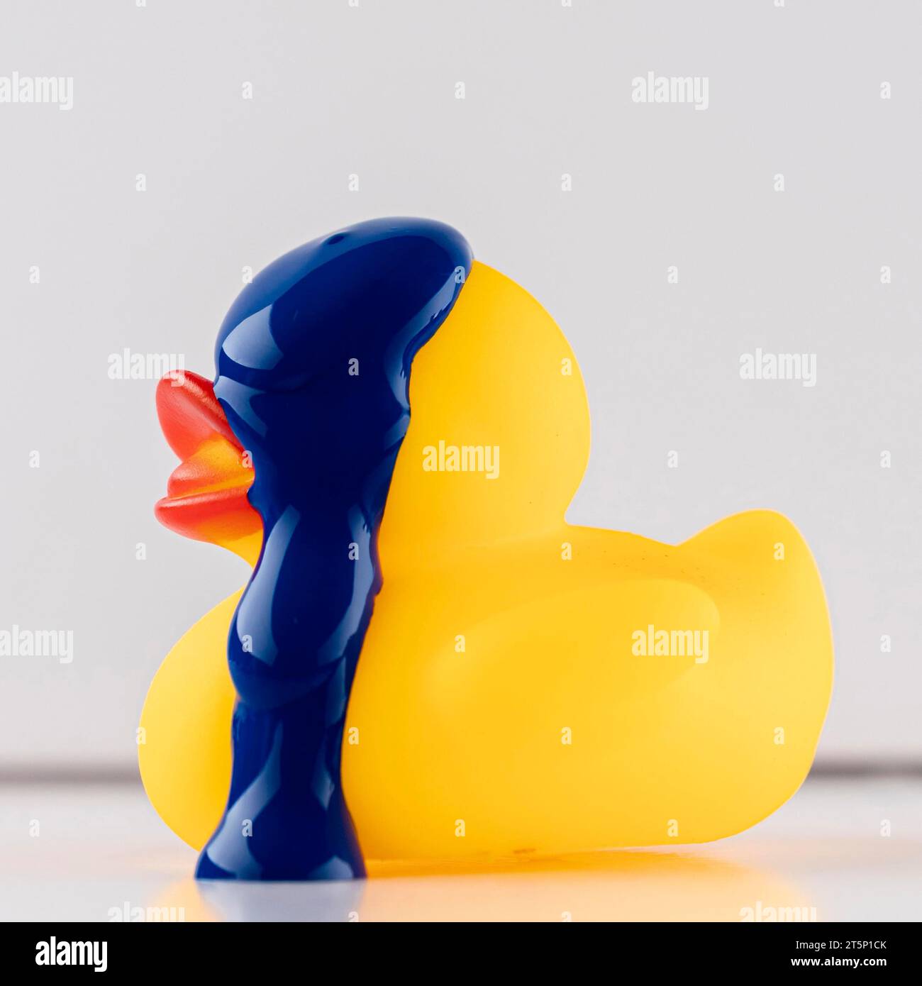 Dripping duck hi-res stock photography and images - Alamy