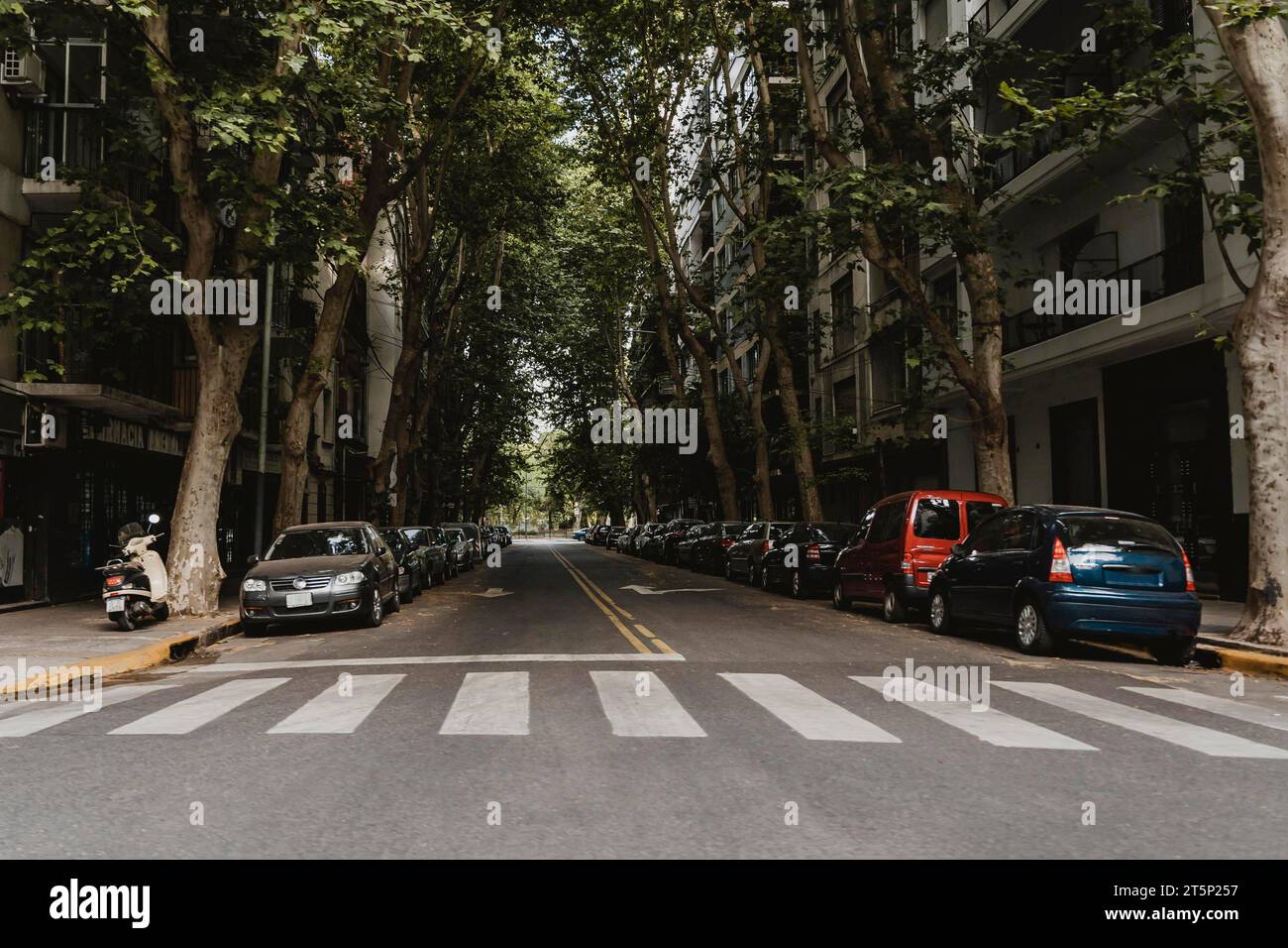 View city street with crosswalk cars Stock Photo - Alamy