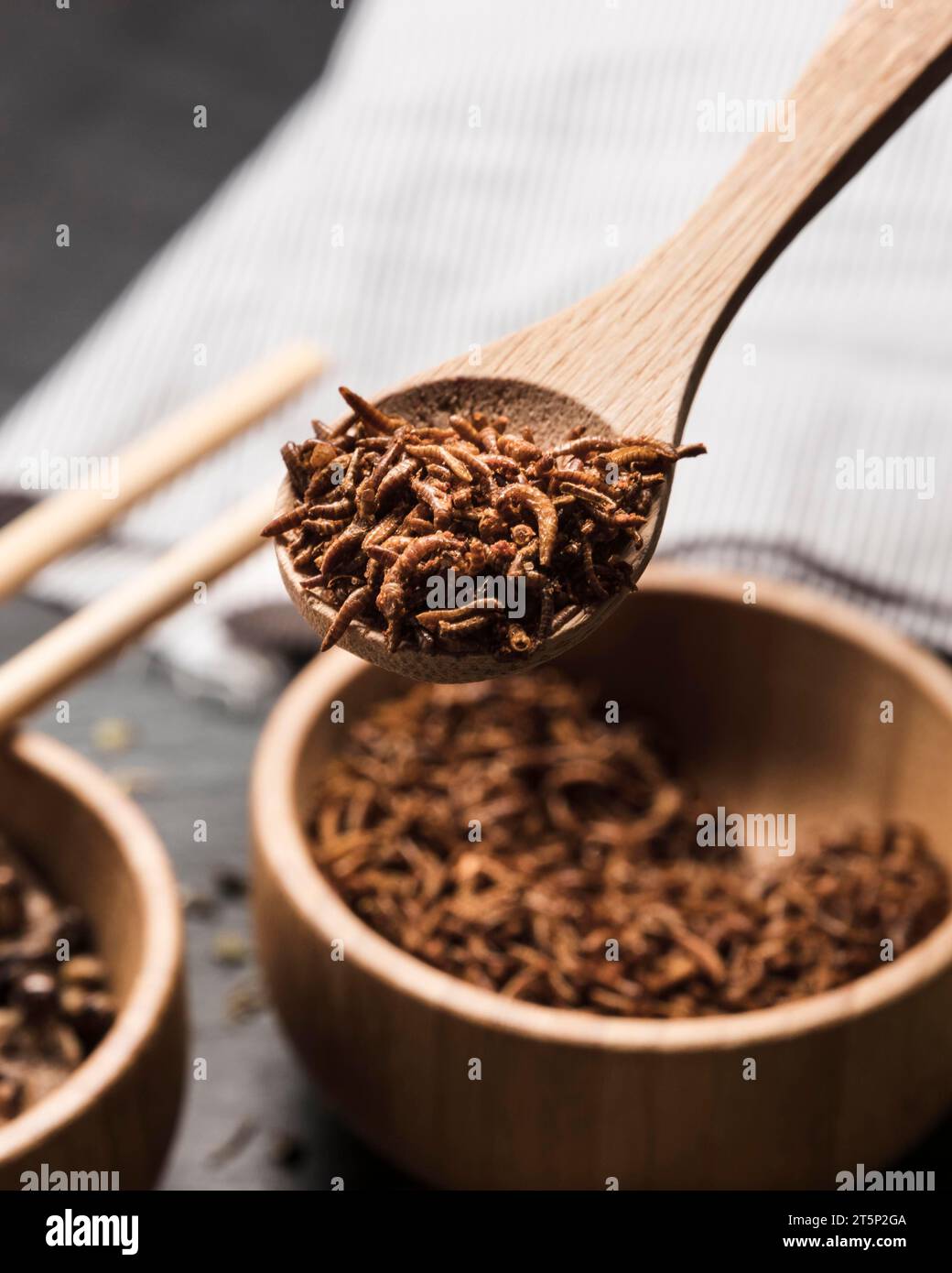 Wooden spoon full with fried insects Stock Photo - Alamy